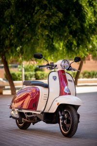 TG 300 S - Royal Alloy España